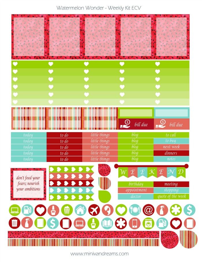 Free Printable Planner Stickers - Watermelon Wonder | Mini Van Dreams